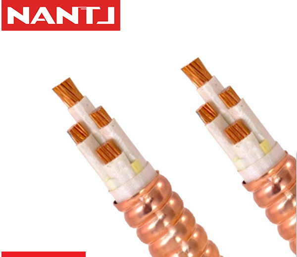 RTTZ/YTTW - 南洋电缆（天津）有限公司